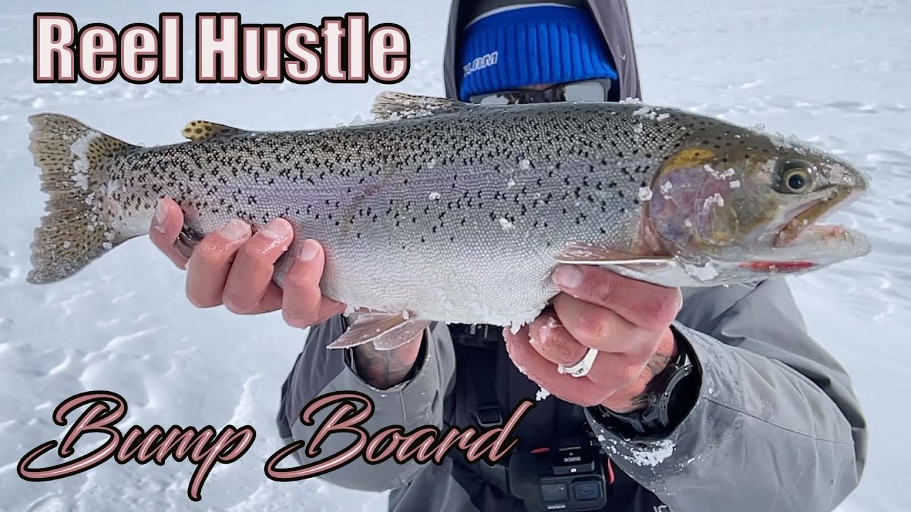 Custom Bump Board - ICE FISHING Colorado & Zach's PERSONAL BEST Cutbow ...