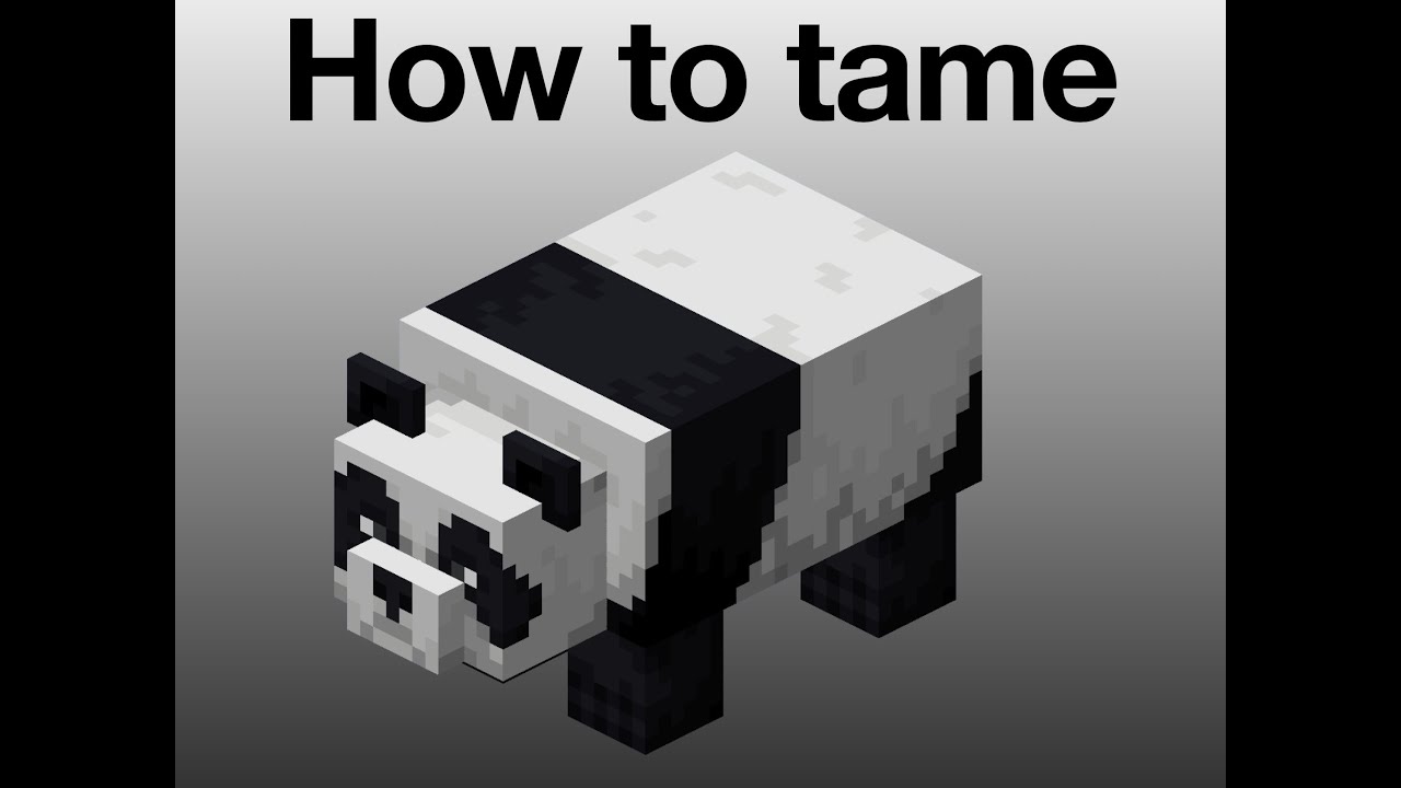 (How to tame a panda 2021) in Minecraft 1.7+ - YouTube