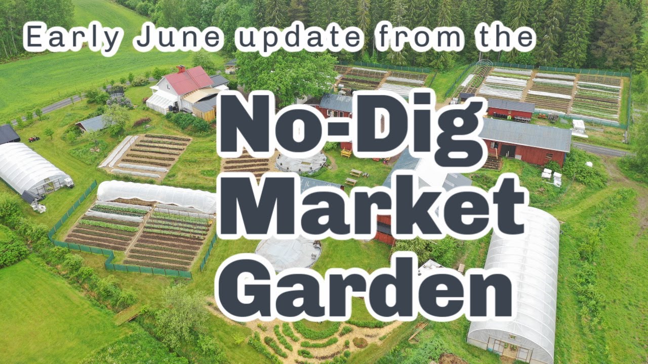 NO DIG MARKET GARDEN UPDATE - YouTube