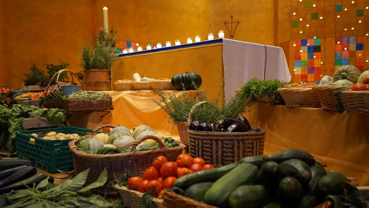 Taizé | the harvest of our little solidarity garden. - YouTube