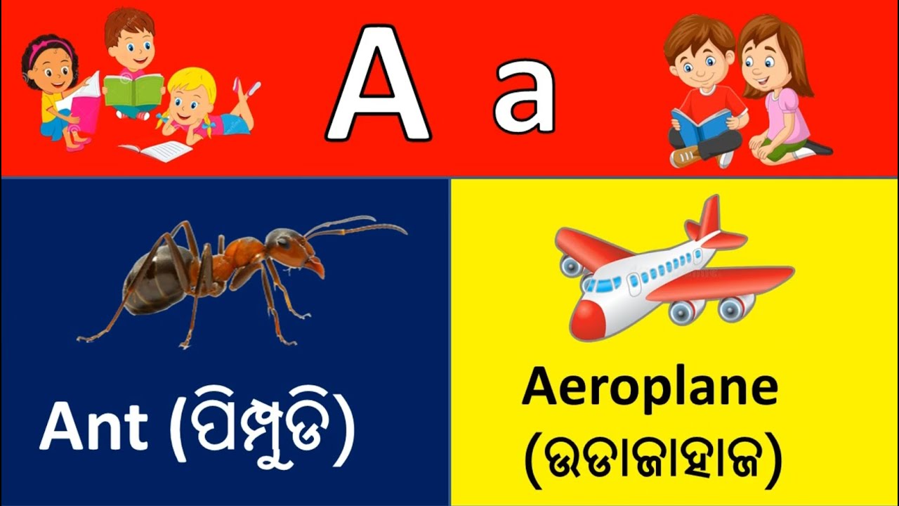 2 words A to Z Aeroplane (ଉଡ଼ାଜାହାଜ) Ant (ପିମ୍ପୁଡି) in odia English ...