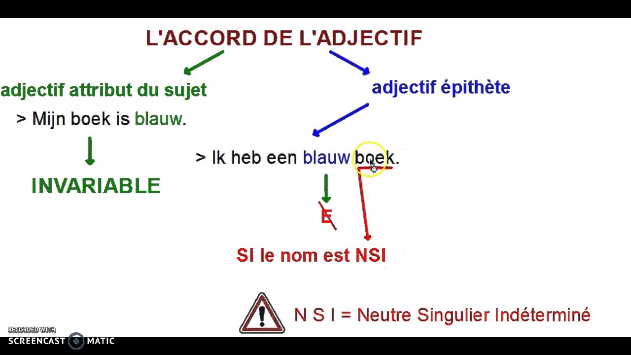 Accord de l'adjectif en néerlandais - YouTube