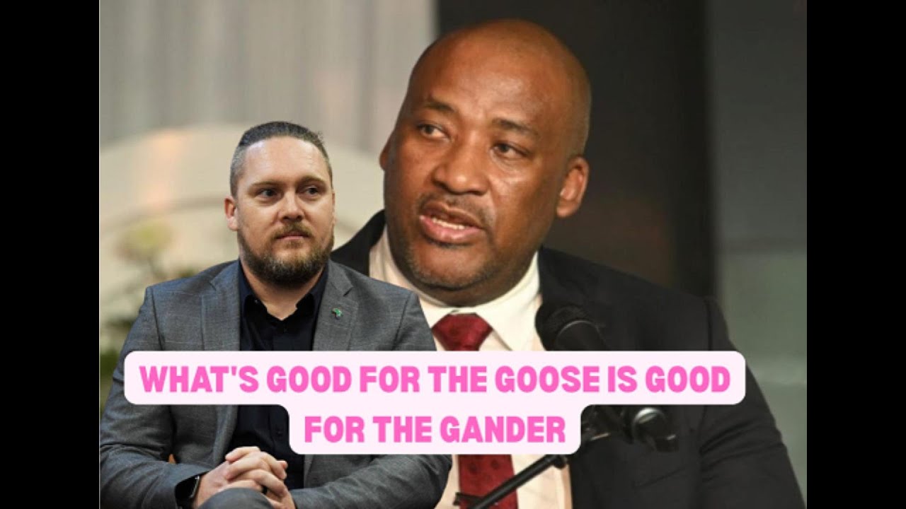 What's good for the goose is good for the gander -- say Netizens - YouTube