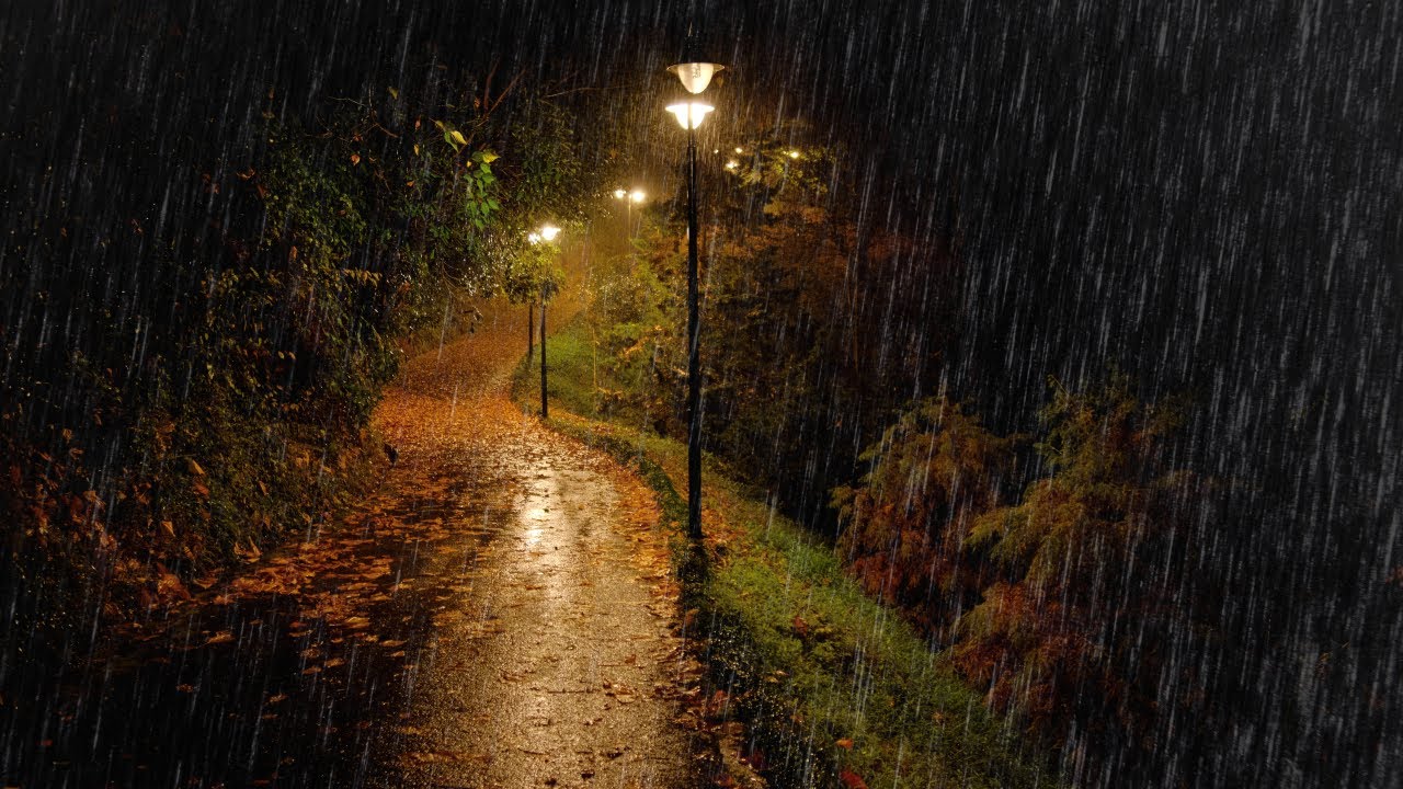 10-Hour 4K Rainfall: Ambient Sounds for Relaxation, Study, and Sleep ...
