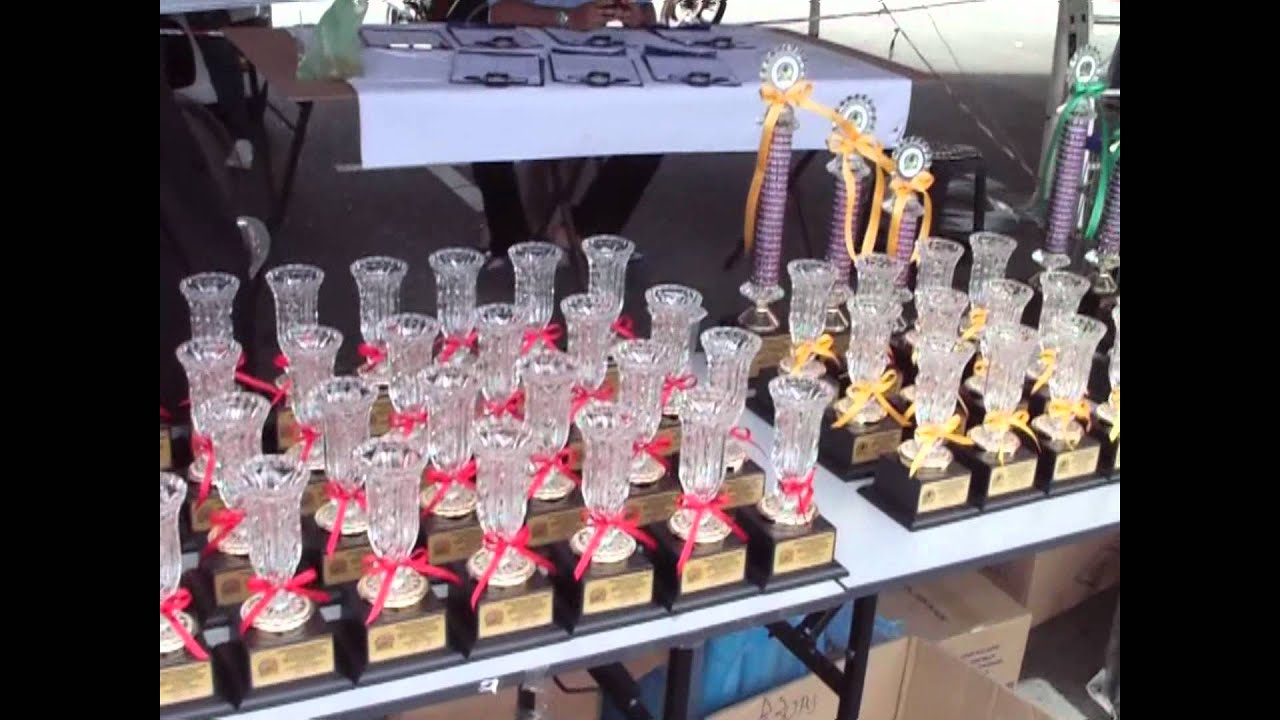 Pertandingan Seni Suara & Gaya Burung Merbah Jambul,Murai Cacing & Batu ...