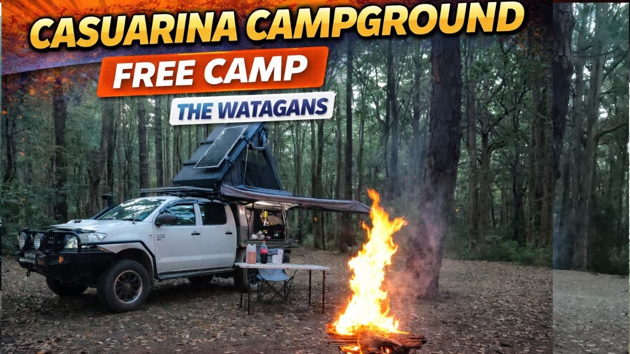 The Watagans Casuarina Campground, Nature's Beauty, Free camp. - YouTube