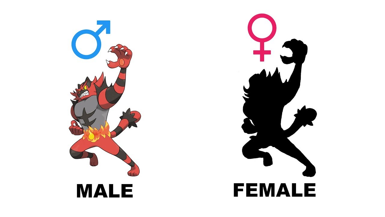Litten Torracat Incineroar Gender Difference Fanart - YouTube