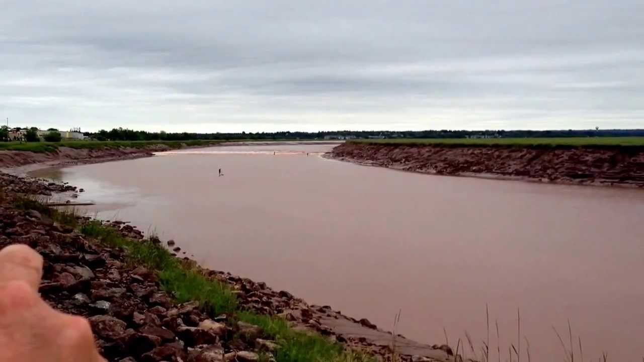Surfing on the tidal bore on the Petitcodiac river in Moncton NB - YouTube