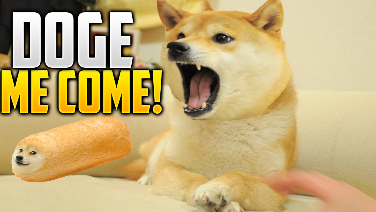 DOGE ME MUERDE Y ME COME JUEGO RANMDOM SUPER ADICTIVO AGAR.IO - YouTube