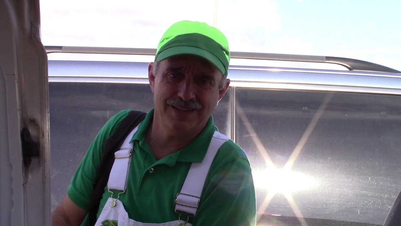 Mr Kippy's Week done - YouTube