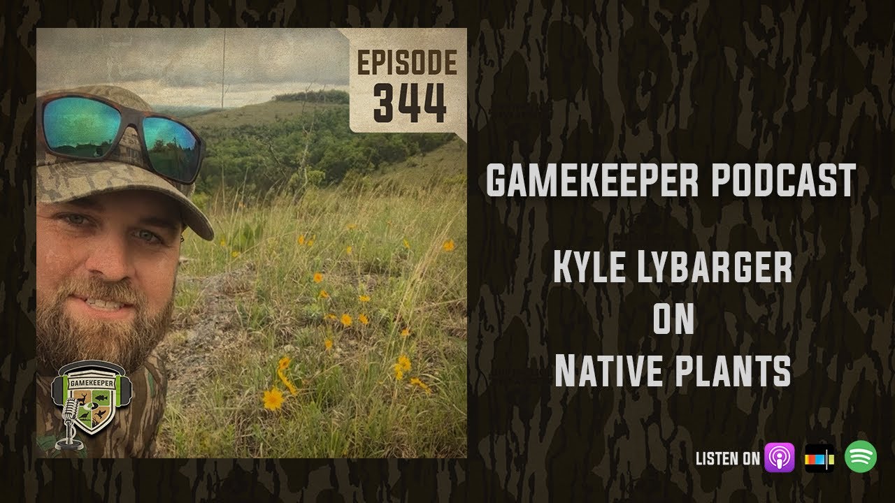 EP:344 | Kyle Lybarger on Native Plants - YouTube