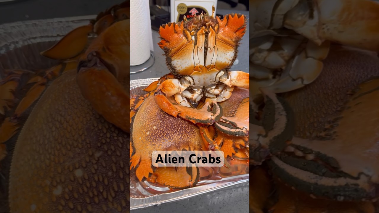Eating Alien Crab Raw - YouTube