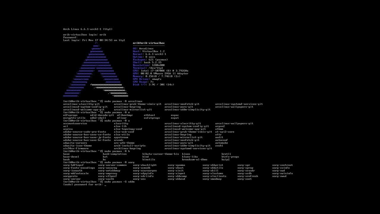 ArcoLinux : 3667 Use ArcoLinuxD for a bare minimal installation - DK - Chadwm - use scripts ...