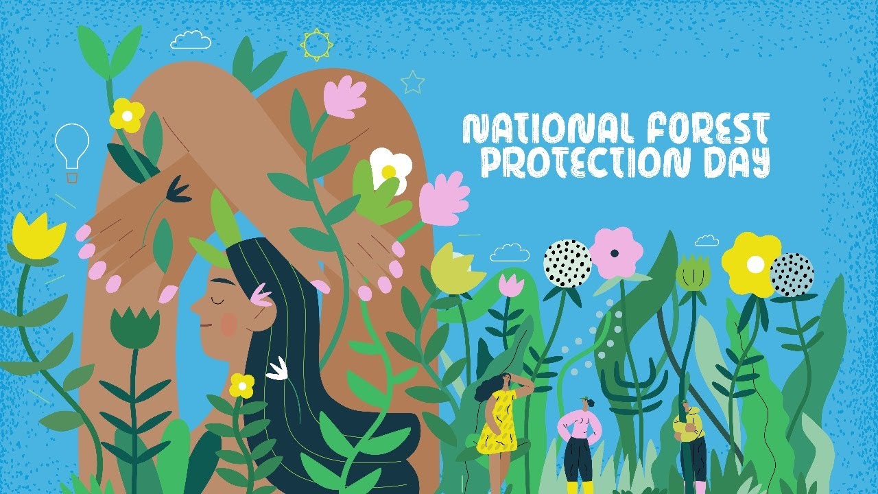 Forest Protection - YouTube