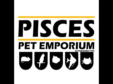 Pisces Pet Emporium - Calgary's Best Pet Supermarket