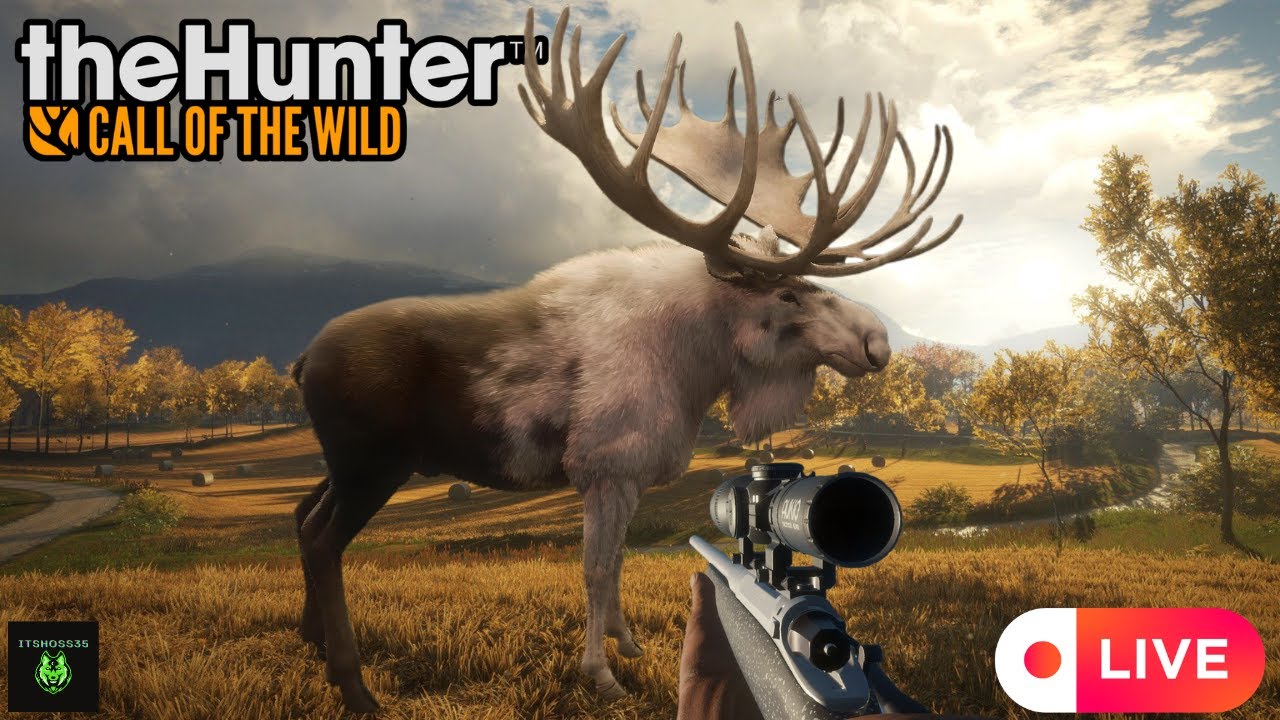 15 Moose into the G1 Grind! | theHunter: Call of the Wild - YouTube