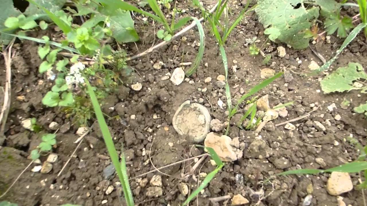 WW1 finds From France October 2012. - YouTube