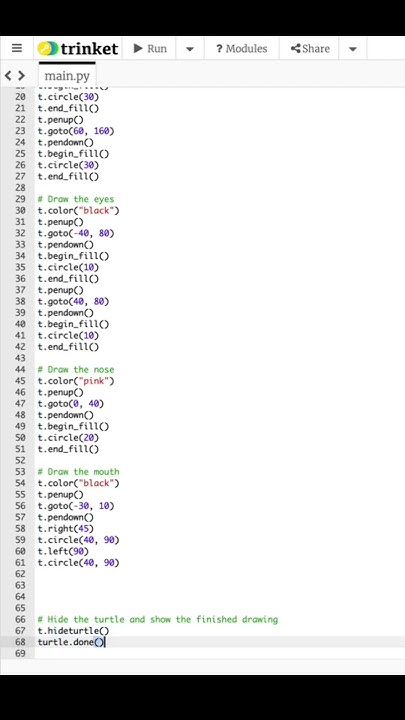 How To Draw A Teddy Bear With Turtle Programming In Python Youtube Shorts Codesecret Youtube