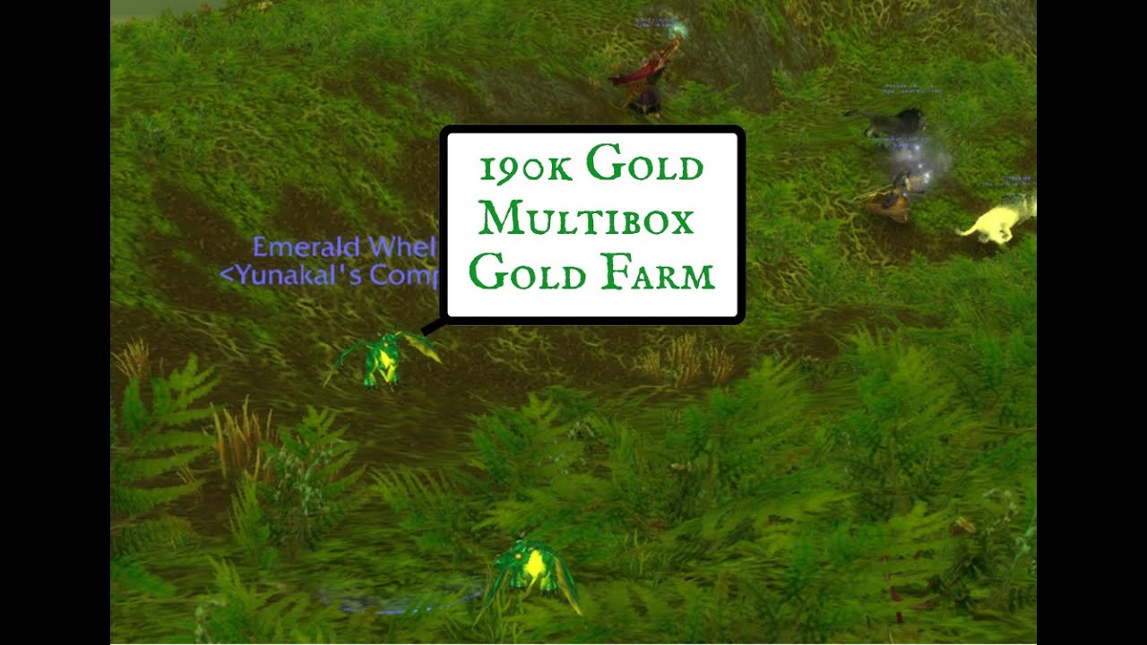 WOW: Emerald Whelp Multibox Farm - YouTube