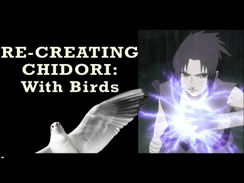 Re-Creating: The Chidori Sound (but with just birds)