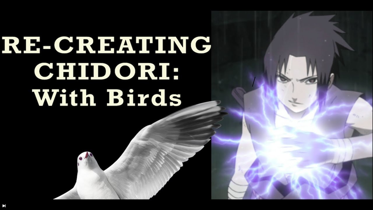 Re-Creating: The Chidori Sound (but with just birds) - YouTube