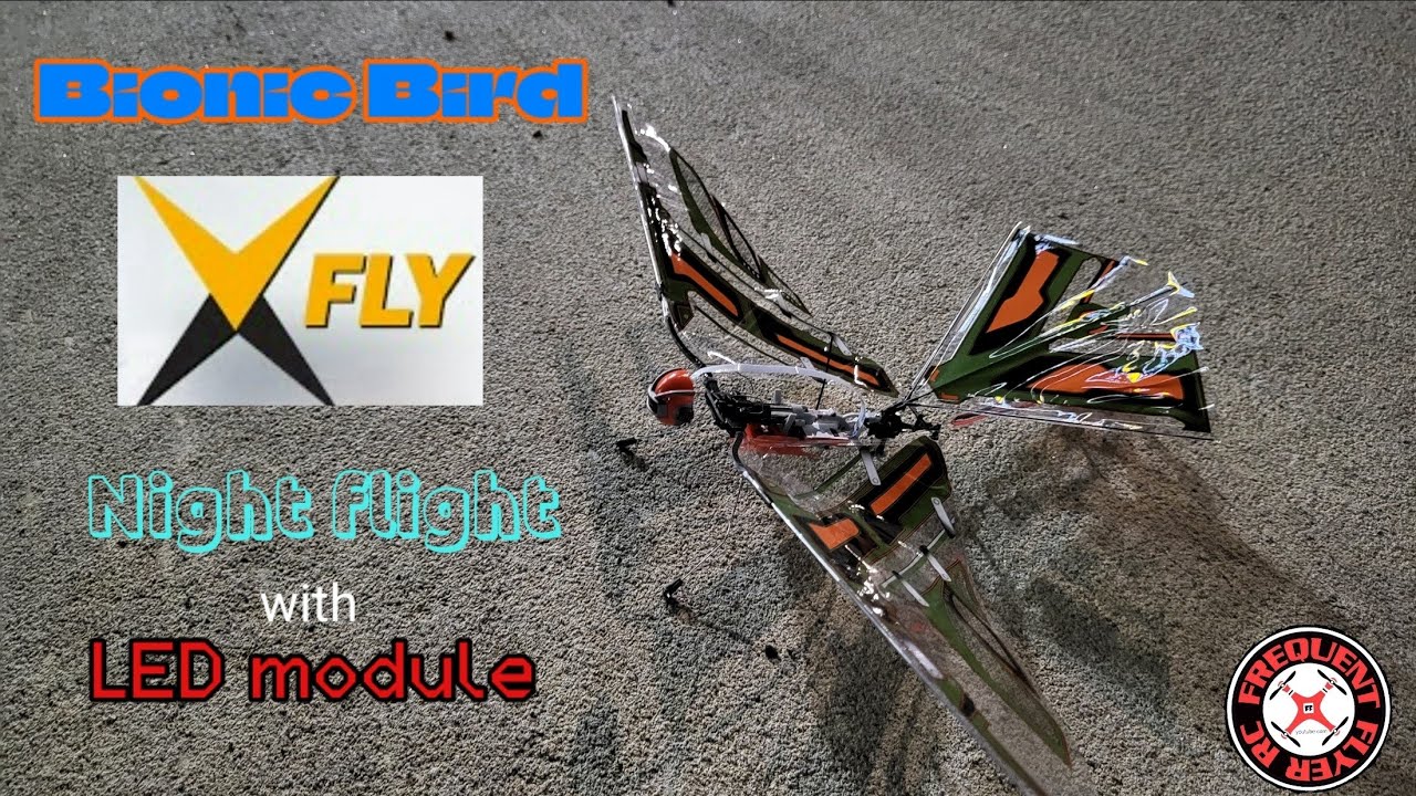 Bionic Bird X-Fly Revolutionary Ornithopter Maiden Night Flight (with ...
