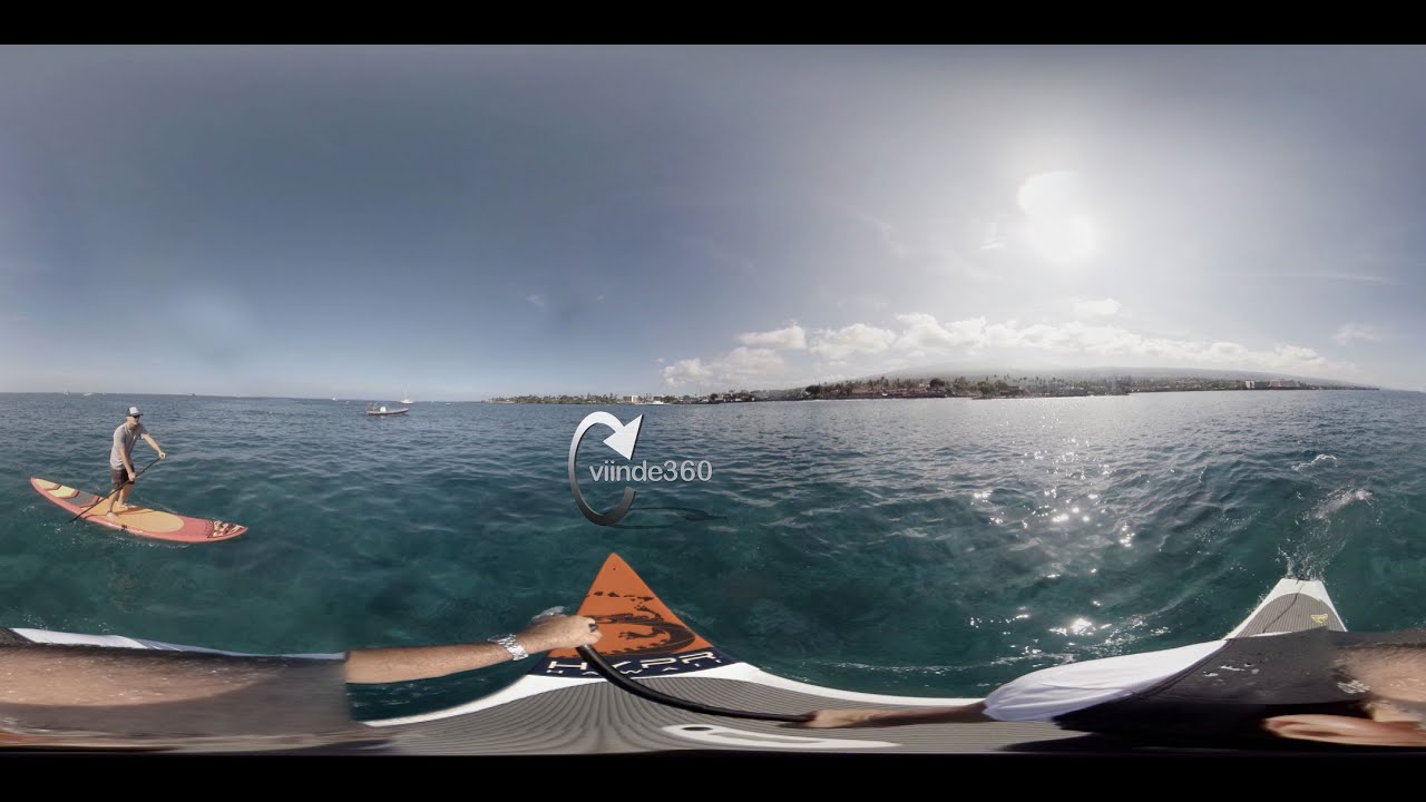 Paddle Boarding with Dolphins - 360 degree video - YouTube