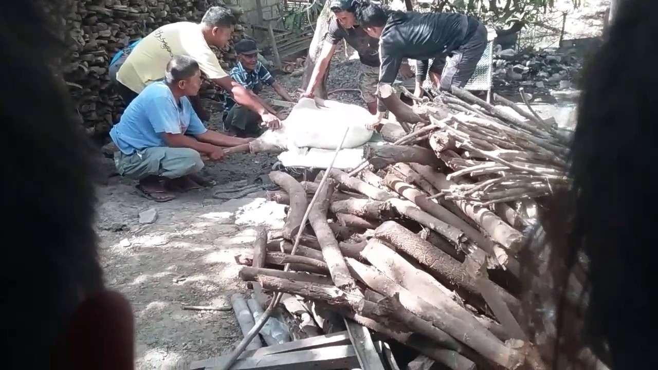 Katay baboy in the Philippines - YouTube