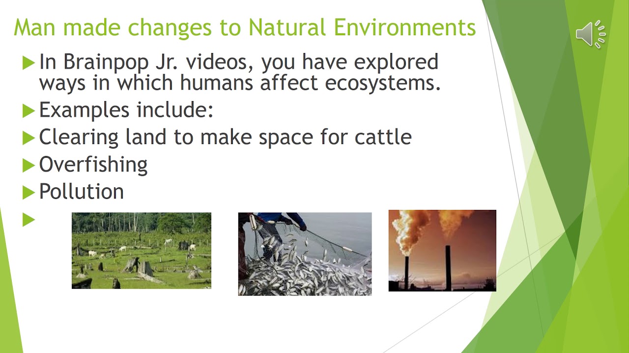Environmental Changes to Ecosystems - YouTube
