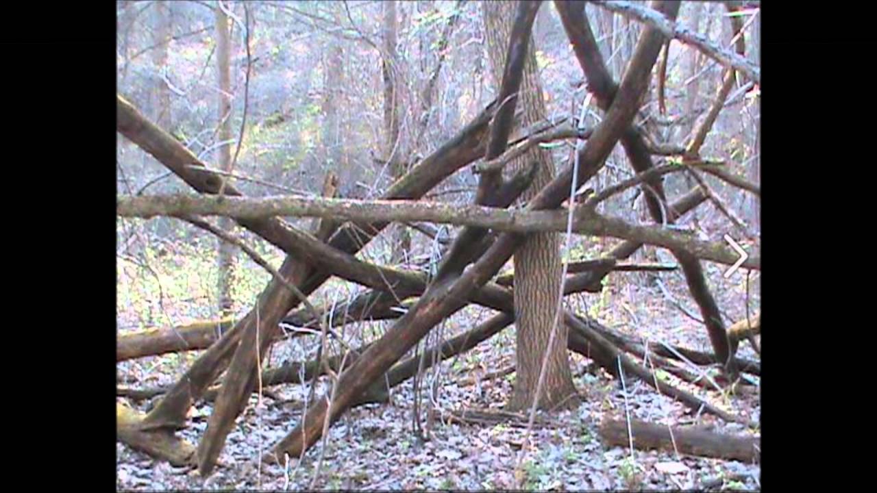 Ohio Grassman: "Ohio Bigfoot Is Here" - YouTube