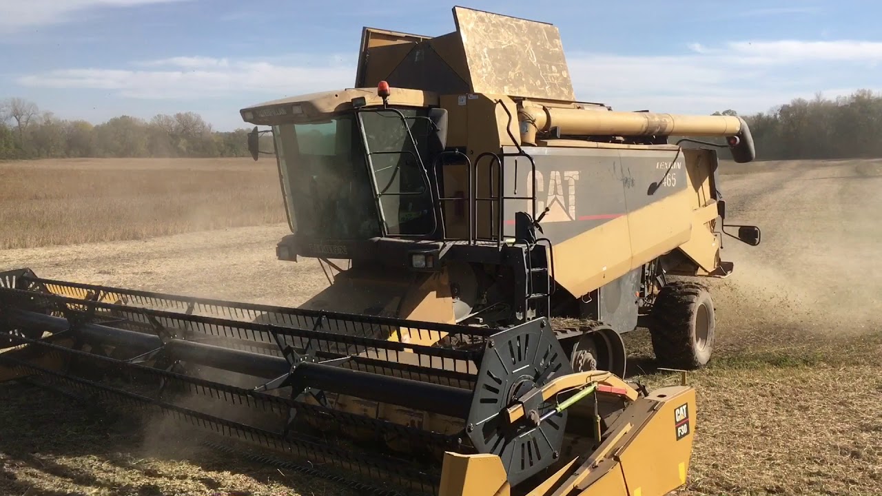 lexion 465 cutting beans fall 2017 - YouTube