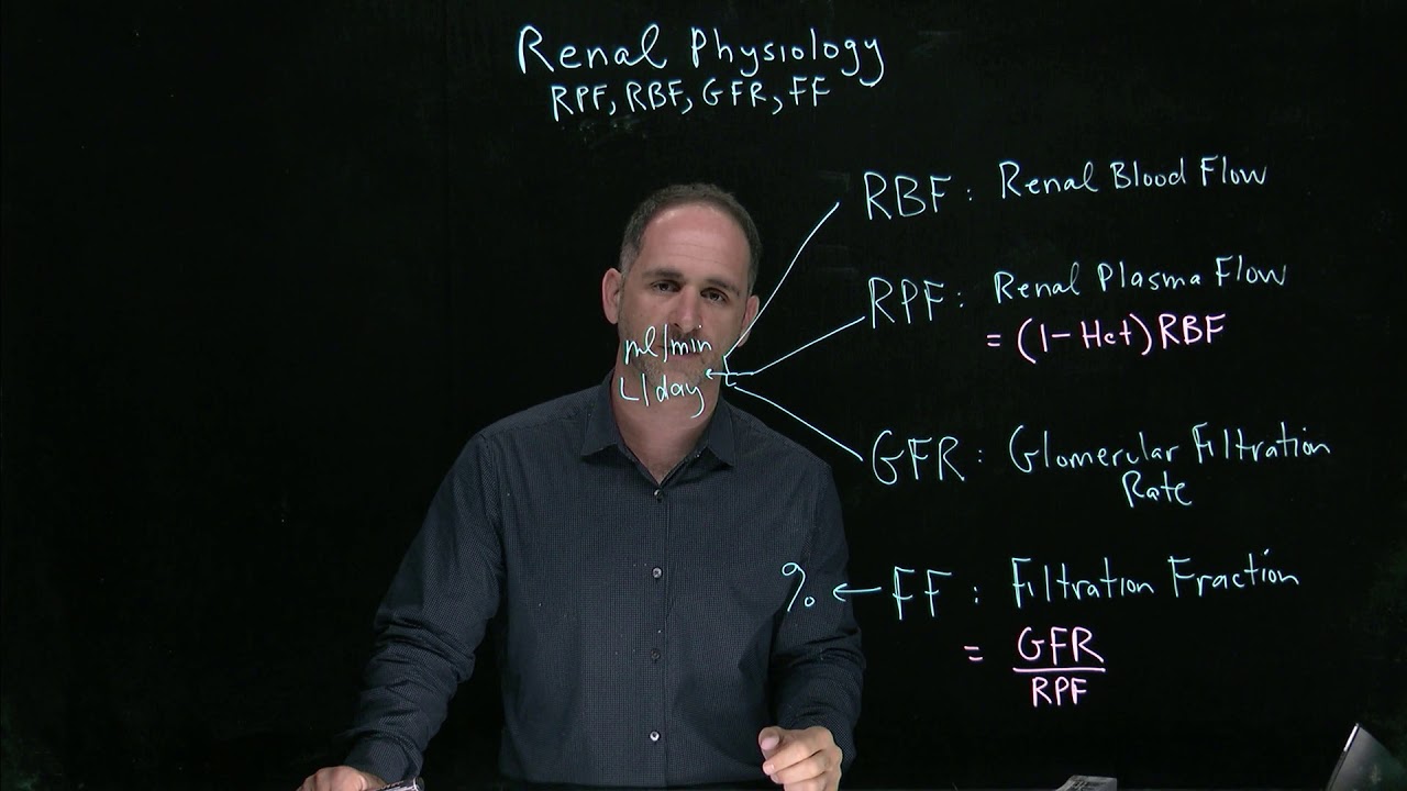 Schneid Guide to Renal Physiology-RBF, RPF, GFR, and FF - YouTube
