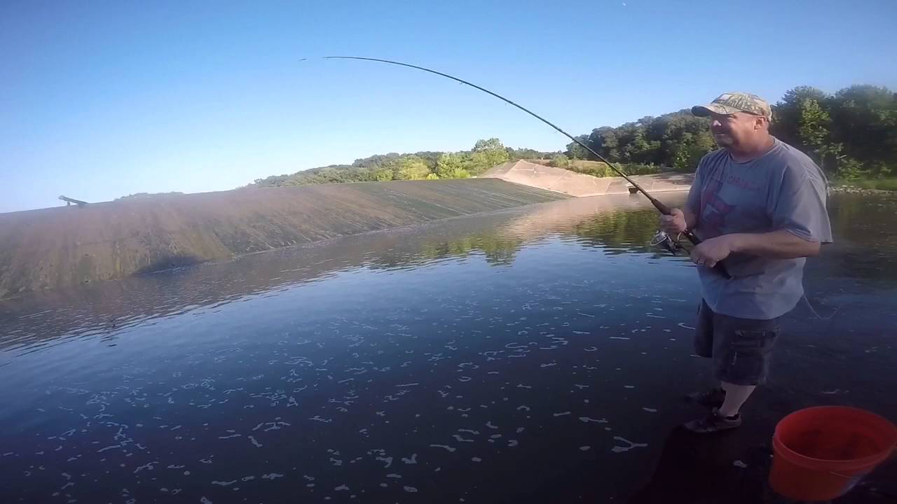 MONSTER 40 LB FLATHEAD CATFISH!!!!! - YouTube