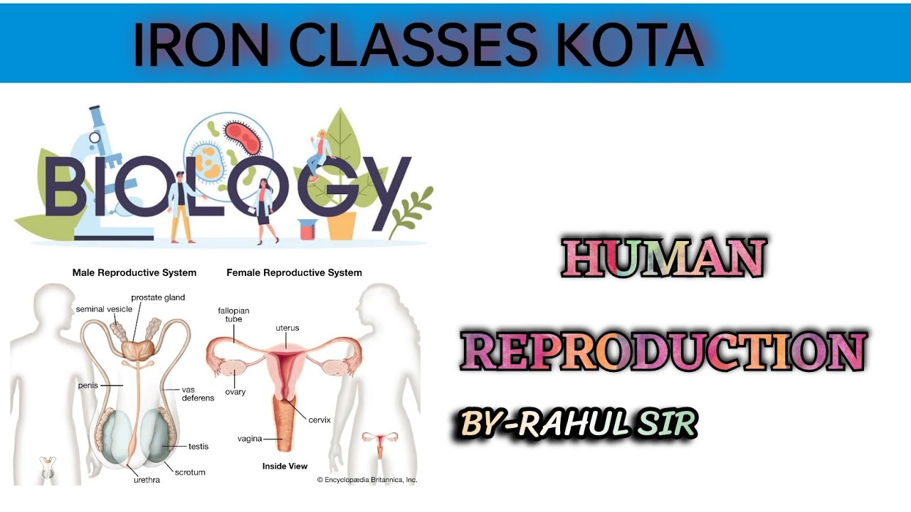 HUMAN REPRODUCTION BY RAHUL SIR । IRON CLASSES KOTA - YouTube
