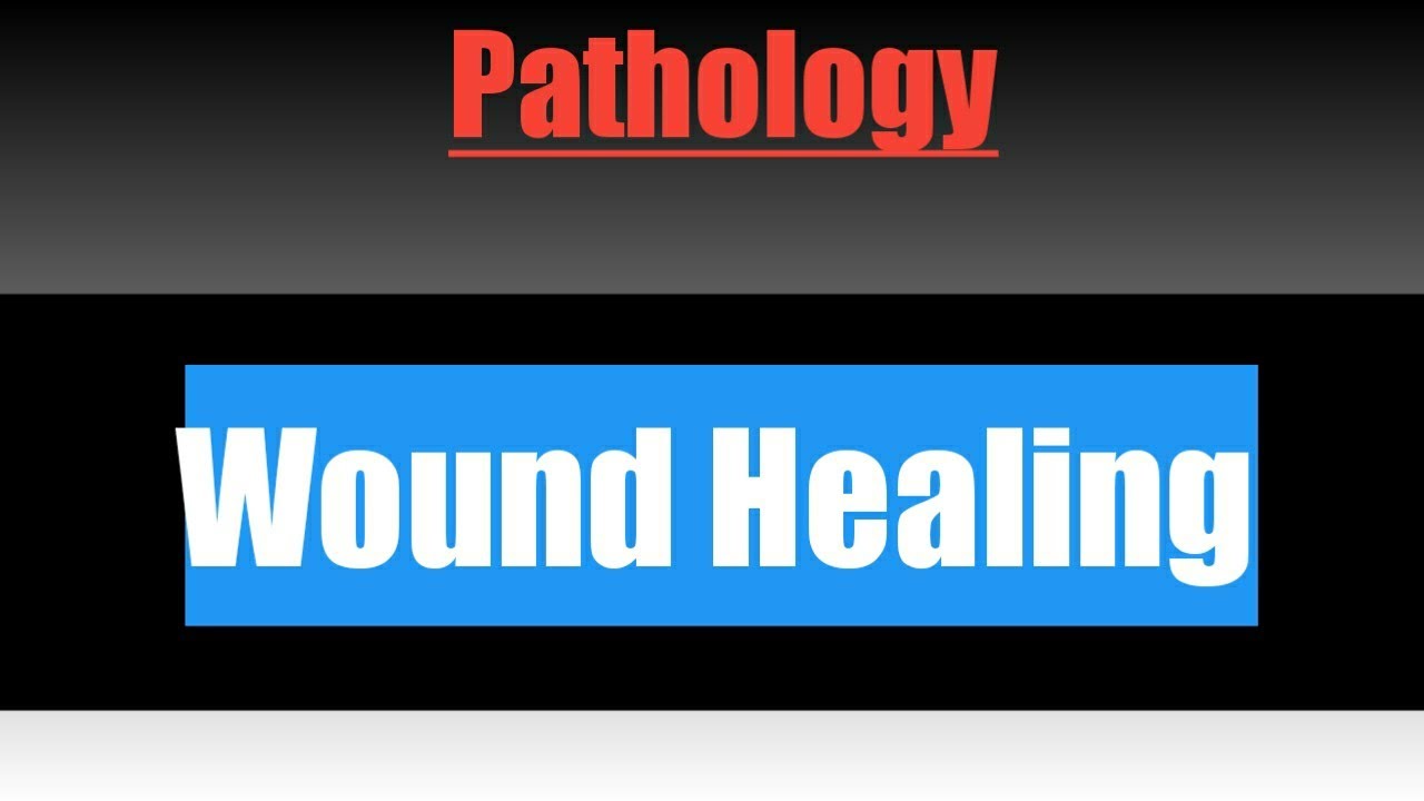 Pathology||Wound healing||types||process and stages||bsc nursing 2nd ...