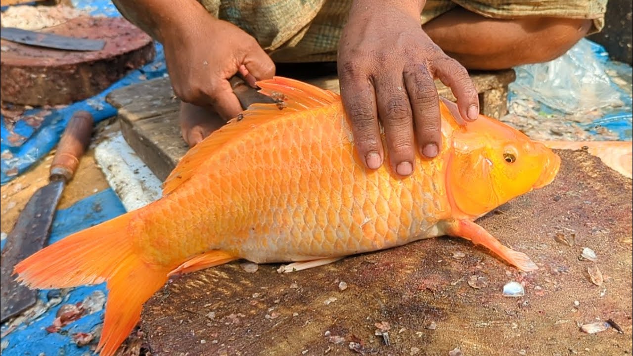 Fastest Cutting Skill Fish Market in Bangladesh | by Golden Carp Fish ...