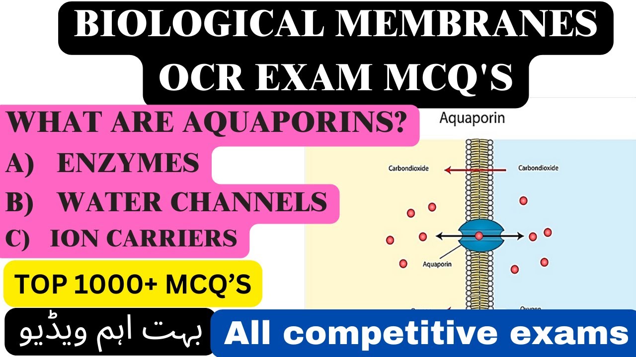 Biological membranes a level OCR Exam mcq's | biological | bio | ocr ...