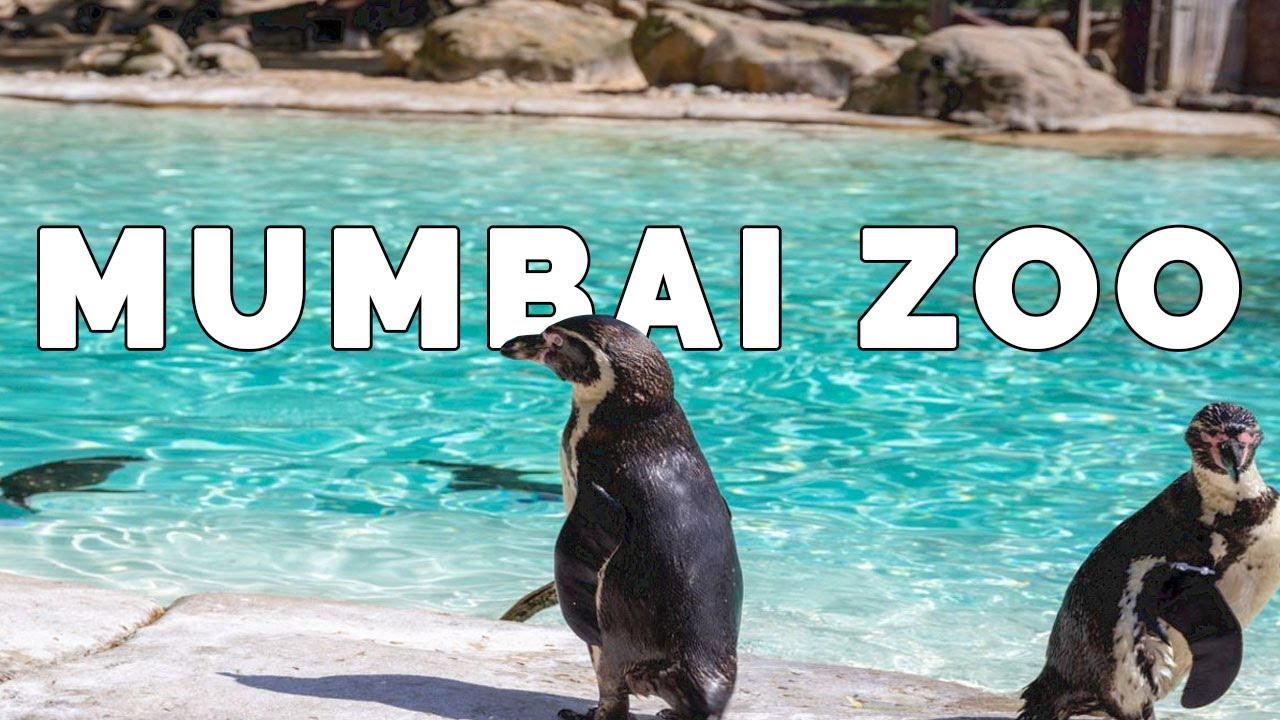 Visit Mumbai zoo during this boring lock down | Veermata Jijabai Udyan ...
