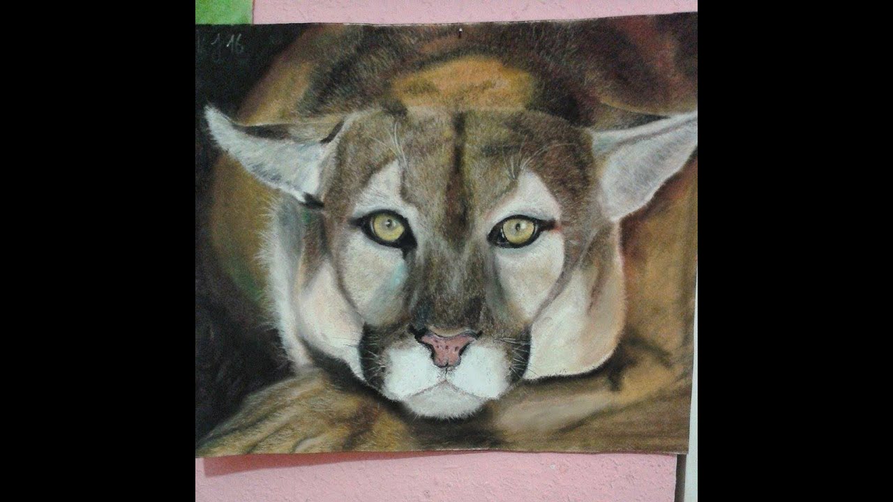 Speed painting: Cougar(Puma) - YouTube