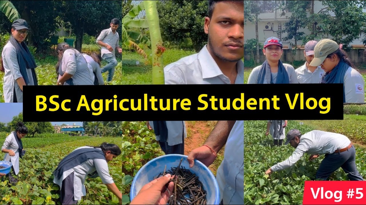 Life of BSc Agriculture Students | BSc Agriculture Field Work | Vlog 5 ...