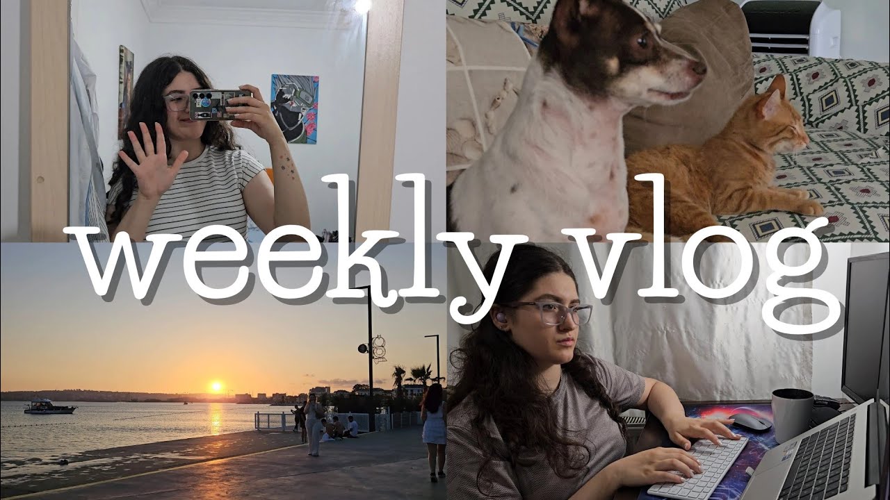 Weekly Vlog Java Coding Korean Lessons Gaming And Fun With Friends 8656