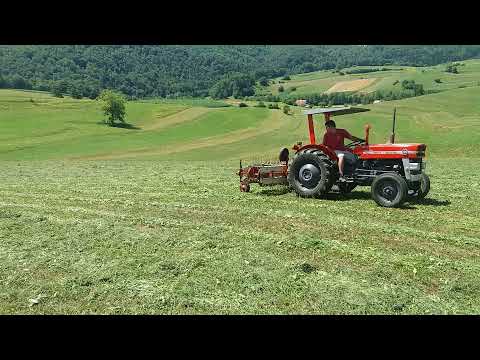 MF 135 vs sip favorit 220 #silage