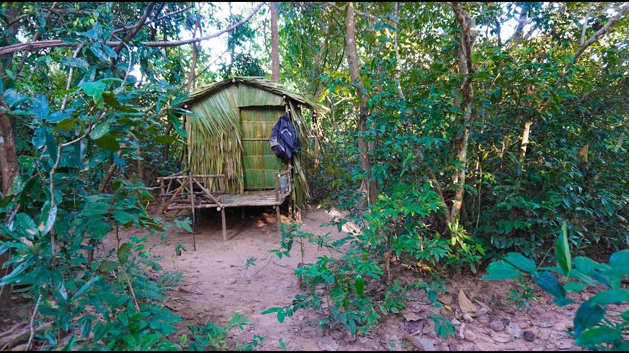 The Most beautiful house in jungle, The best survival shelter builder ...