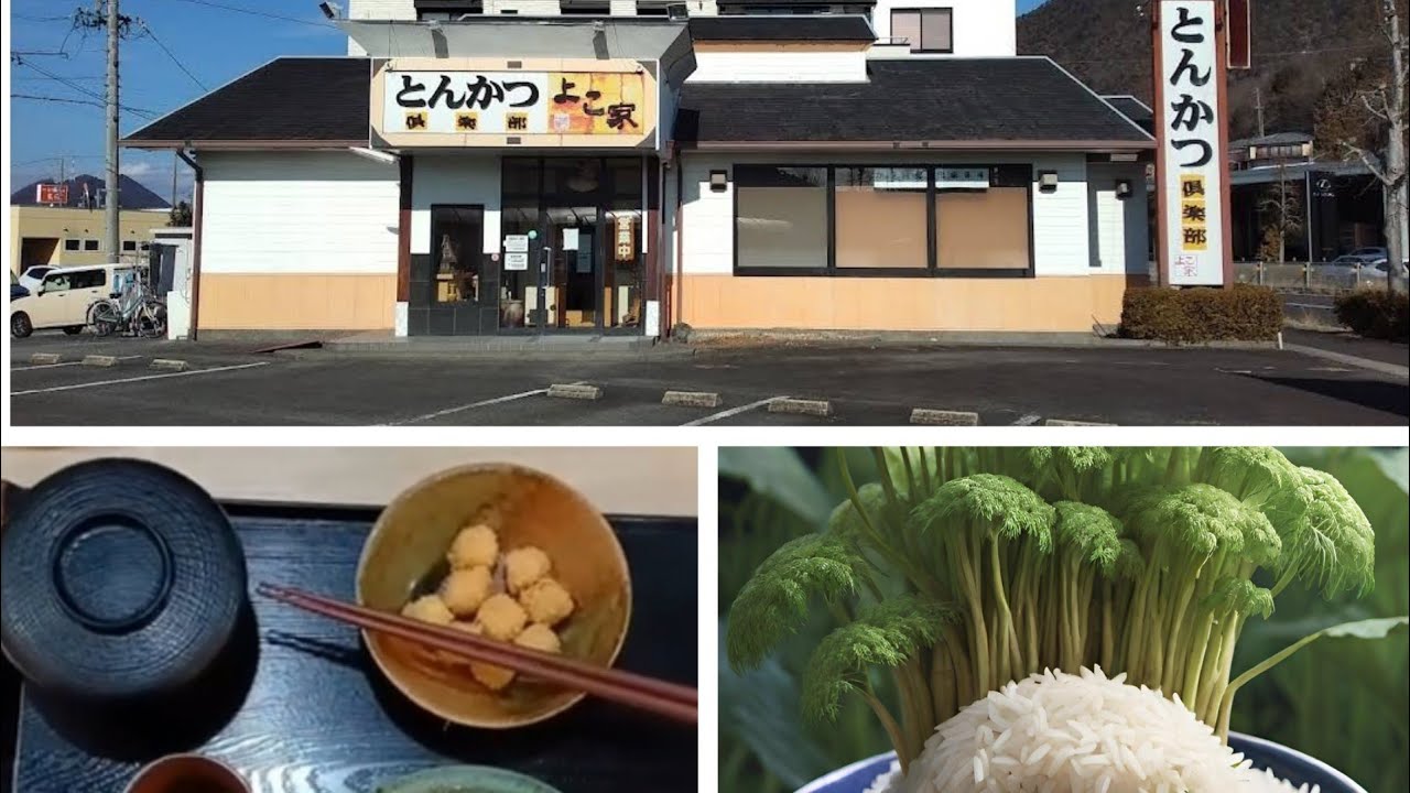 🇯🇵#Gifu#Tonkatsu #Yokoya.Menu végétarien:riz, racines de bardane frites ...