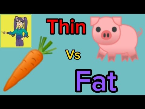 Let's compare thin objects with fat objects | Thin 🦩 vs fat🐧 - YouTube