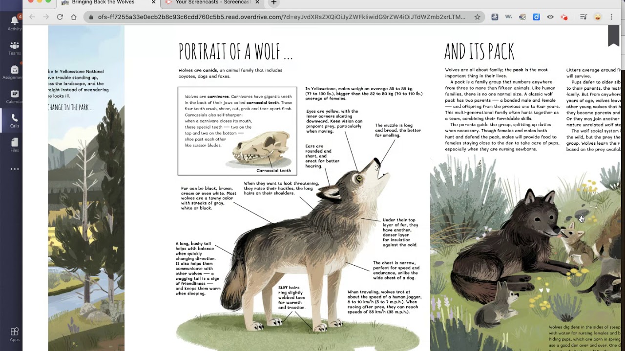 Bringing Back the Wolves Pages 1-16 - YouTube