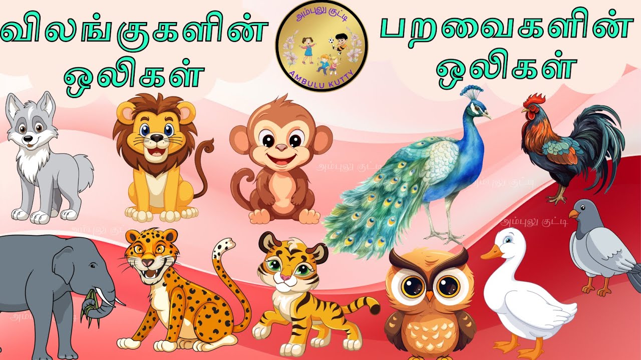 Learn Birds and Animals Sound in Tamil for Children | விலங்குகள் ...