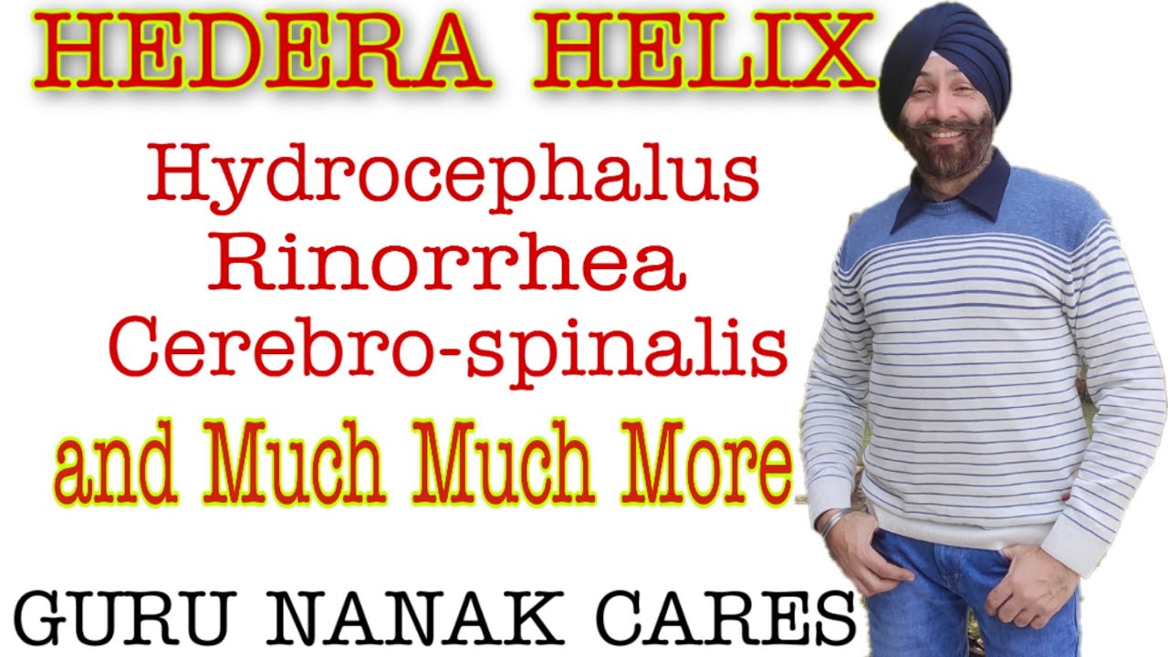 HEDERA HELIX | A Remedy Par Excellence | Hydrocephalus | Rinorrhea ...