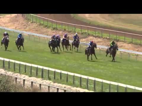 2014.2.11 NZ Cambridge Heat 21 (950m) - YouTube
