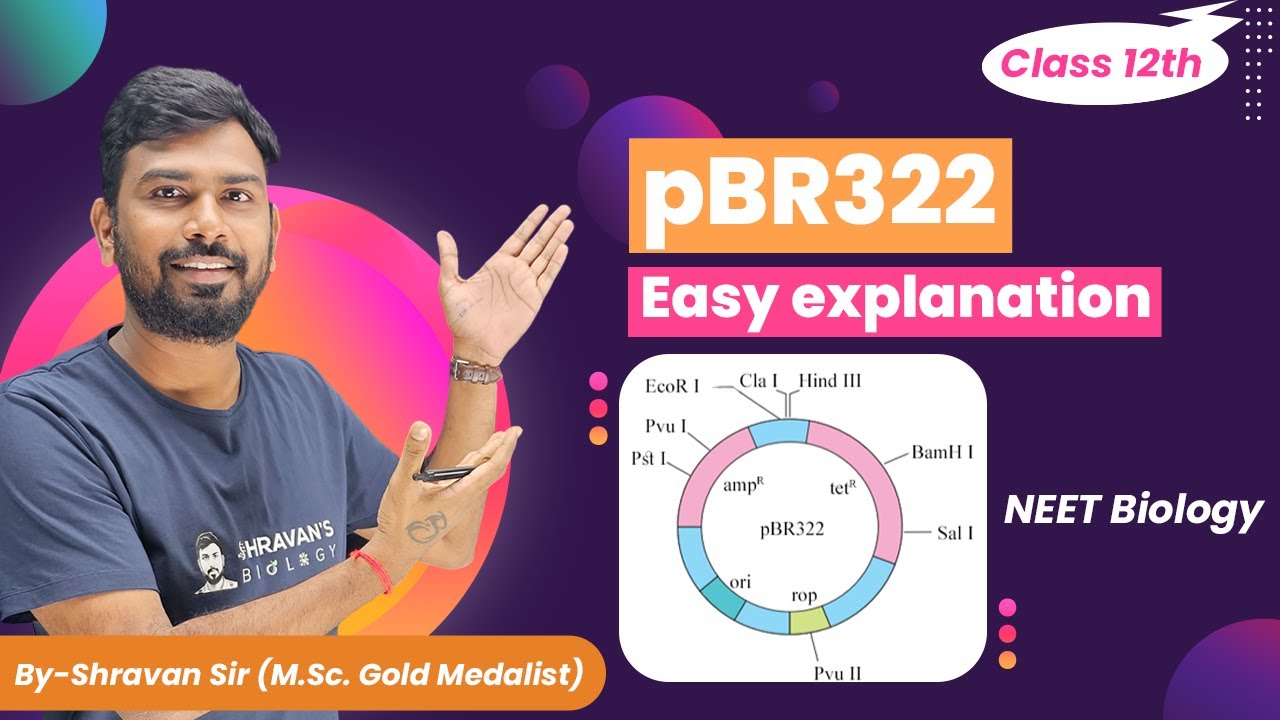 pBR322 Plasmid | Vectors | Biotechnology | NEET Biology | Class12 ...
